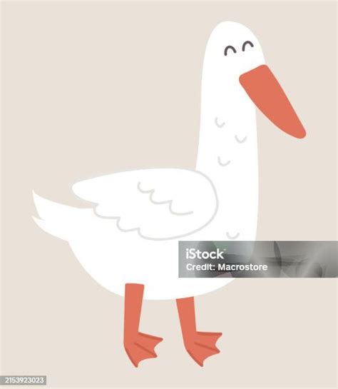 평면 디자인의 행복한 흰 거위 귀여운 오리와 함께 가금류 목장 농장 벡터 일러스트 레이 션이 분리되어 있습니다 가금류에 대한