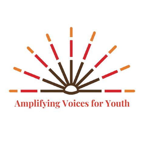 Amplifying Voices For Youth Books Nonprofit Education