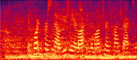 D²net A Denoising And Dereverberation Network Based On Two Branch Encoder And Dual Path Transformer