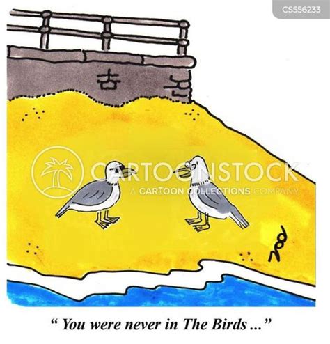 Seagull Cartoons And Comics Funny Pictures From Cartoonstock