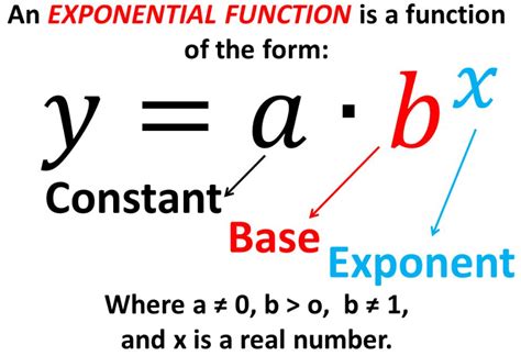 Grade 10 Exponential Functions Genially