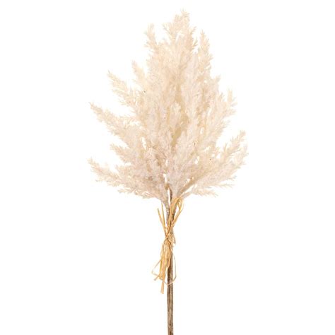 18 Pampas Grass Bundle X3 Cream Artificial 12 Pieces Silk