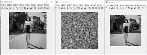 Matlab一探dctidct变换在图像压缩中的应用papaofdoudou的博客 Csdn博客idct Matlab