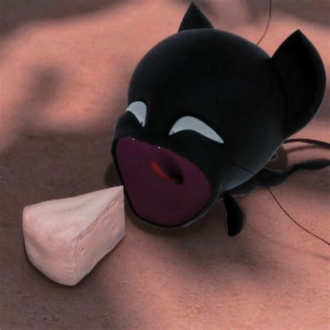 My Friend Said Shell Watch Marvelous Ladybug W Me Because She Knows