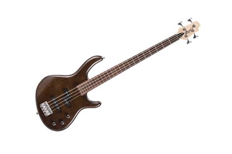 Best Electric Bass Guitars To Get The Right Rhythm The Standard