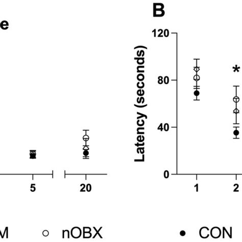 Photographs Of Third Order Dendritic Segments Of Dorsal Hippocampal Ca3