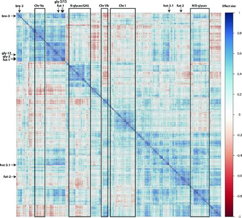 Cluster Analysis Of 285 Genes With Known Or Potential Roles In