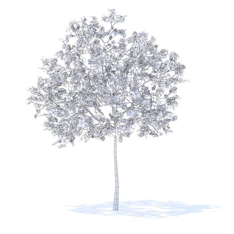 Plum Tree With Flowers 32m 3d Model Download Trees On