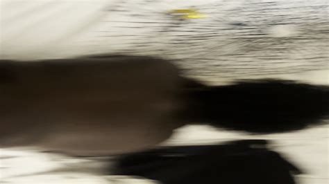 Bbw Chocolate Bbw Phone Bone Eporner