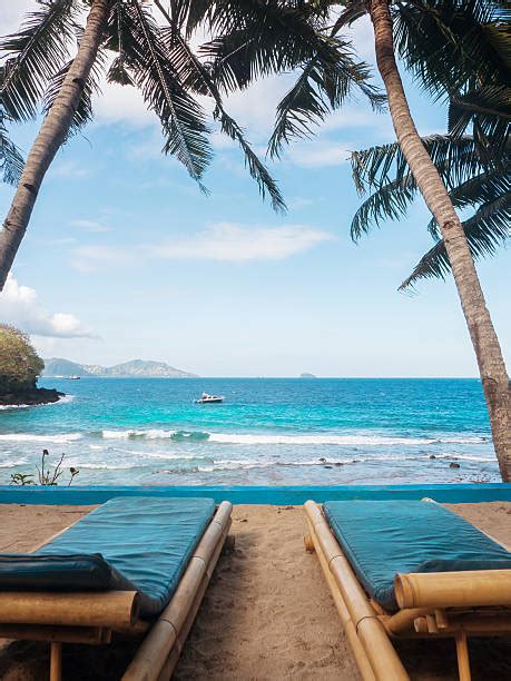3 300 North Bali Foto Foto Stok Potret And Gambar Bebas Royalti Istock