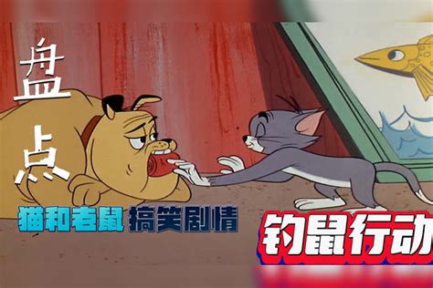 猫和老鼠：盘点剧中爆笑剧情，汤姆来到海边居然是钓老鼠汤姆剧情剧中