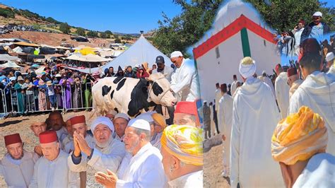 أجواء اول يوم من موسم رجراجة 🇲🇦2024 مع عجل سمين من ضريح سيدي علي ابو علي اليوم الجمعة 26ابريل