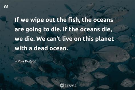 Save Ocean Quotes Save The Whales The Ocean Teaches Us That Patience