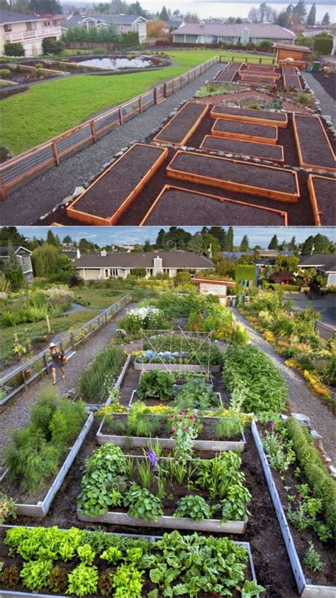 Vegetable Garden Layout Design
