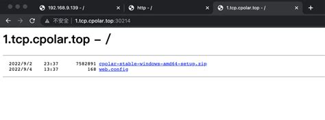 Windows如何使用iis服务搭建本地webdav网站并实现远程管理储存文件iis Webdav Csdn博客