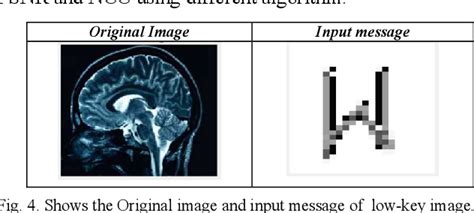 Figure 4 From Design And Analysis Of Bfo Pbfo Based Optimized Watermarking Algorithm For Medical