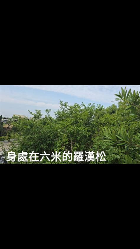 鼎農村試驗教育基地 Dhome 1060314 和順國小追溯之旅 學校退休主任更用心 準備地圖， 介紹學甲新頭港傳說中的「烏鴉落洋」寶穴