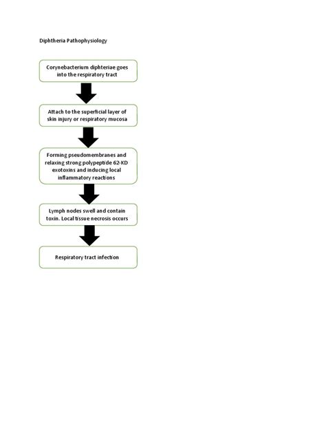 Diphtheria Pathophysiology Pdf