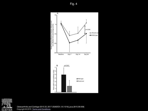 Monosodium Iodoacetate Induced Inflammation And Joint Pain Are Reduced