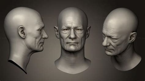 Anatomy Of Skeletons And Skulls Male Head Sculpt 033 ANTM 0159 3D
