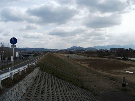 八尾市観光データベース
