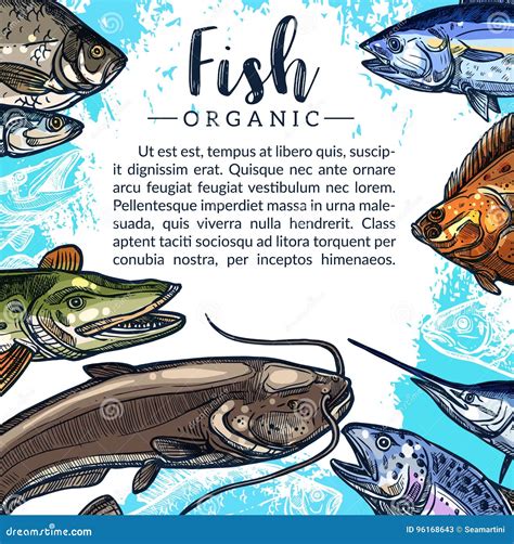 Vector Poster Of Fish Catch For Fishing Market Stock Vector