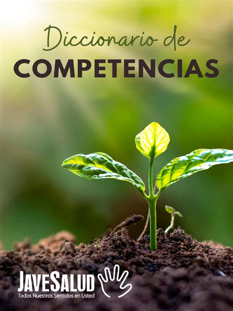 Diccionario De Competencias 2022 Pdf Creatividad