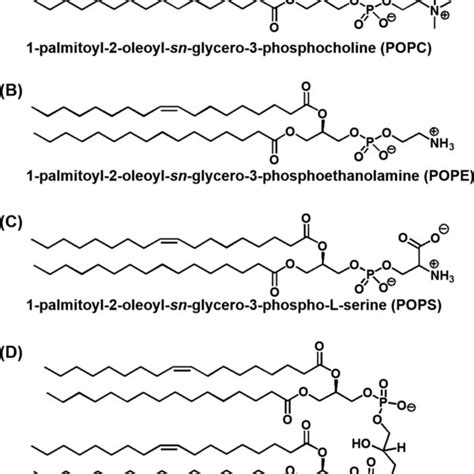Chemical Structure Of A Popc B Pope C Pops And D Cl