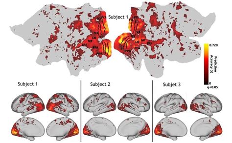 Prediction Accuracy With Vae Based Encoding Model The Accuracy Was