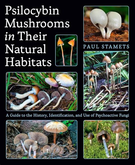 How To Choose The Right Mushroom Species For Your Climate