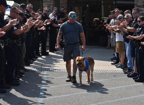Police Dog Stabbed 12 Times In New York Burglary Is Recovering