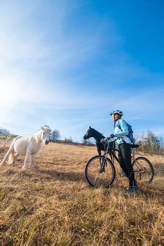 여자 크로스 컨트리 자전거 타는 말에 보고 하는 초원에 중지 가축에 대한 스톡 사진 및 기타 이미지 가축 레저 활동 말 Istock