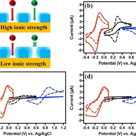 Kaiyu Fu Assistant Professor Doctor Of Philosophy University Of