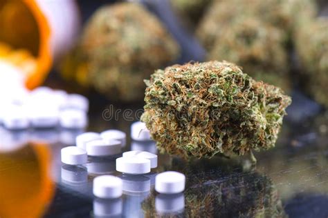 Detail Of Cannabis Buds And X28 Chemo Kush Strainand X29 And Prescriptions Pi Stock Image Image