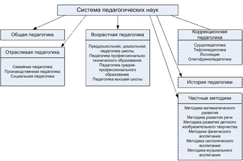 Основные отрасли педагогики