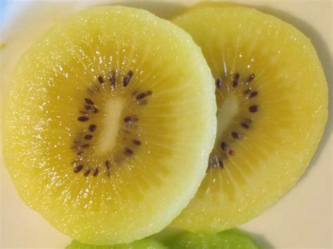 Actinidia Chinensis