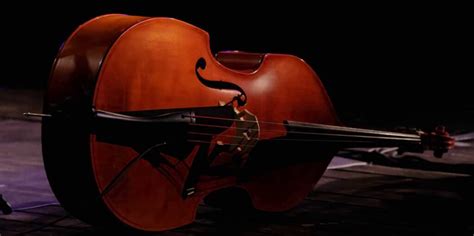 Double Bass Sizes Teds List
