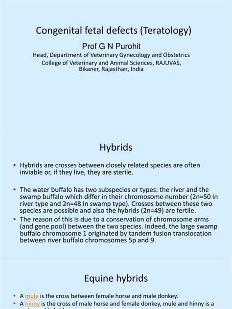 Vet Obst Lecture 4 Congenital Fetal Defects Teratology Pdf