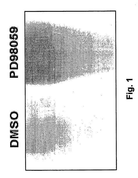 Enhancement Of Human Epidermal Melanogenesis Eureka Patsnap