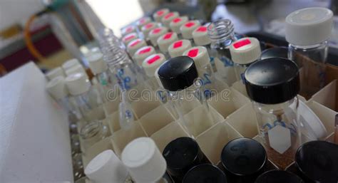 Laboratory Bottles And Test Tubes Stock Image Image Of Glass Holding