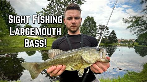 Sight Fishing Largemouth Bass While Pond Hopping Pond Hopping For