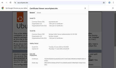 how to install and configure an ssl certificate on an apache2 web server ubuntu
