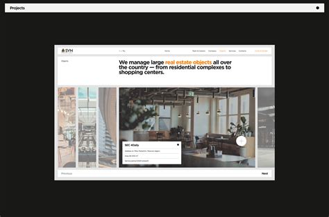 SVN Web Behance