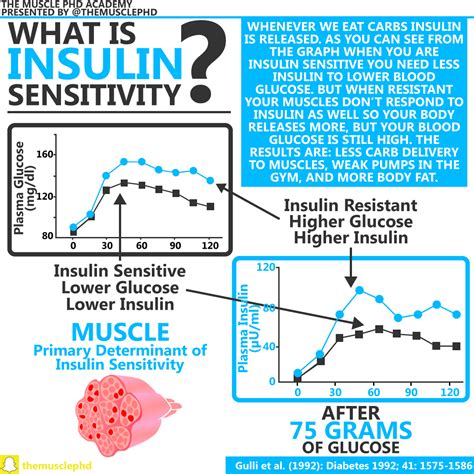Infographics The Muscle Phd