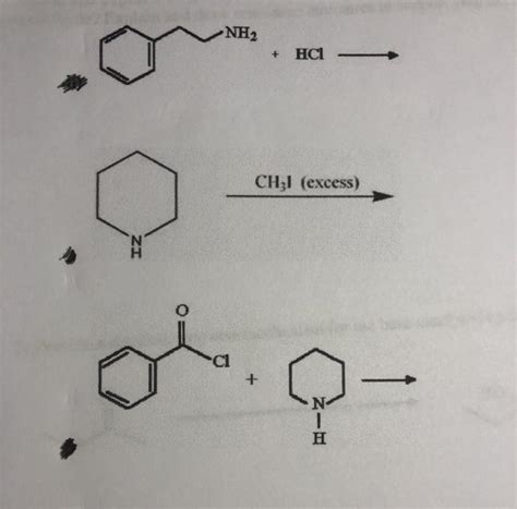 Solved -NH2 + HCI CH31 (excess) N H + a N 1 H | Chegg.com | Chegg.com