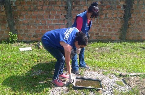 Litoral do Paraná registra 153 casos de dengue