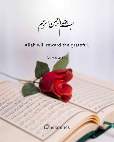 Allah Will Reward The Grateful Islamtics