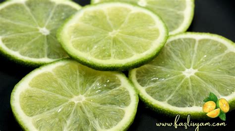Khasiat Limau Nipis Segalanya Tentang Tumbuhan
