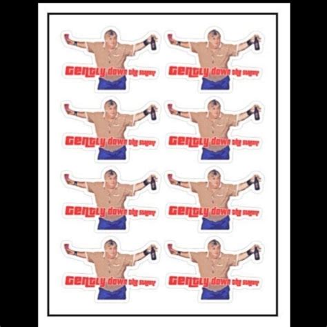 Design Don Vito Viva La Bam Gently Down The Stream Laminated Vinyl Stickers 55 Poshmark