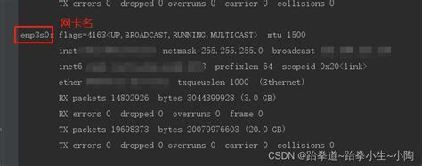 Ubuntu 2004 安装海康工业相机mvs Python 二次开发mvs软件 Csdn博客